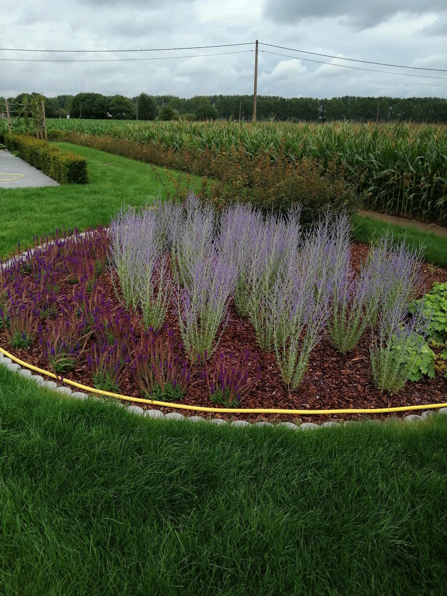 Bekijk hier enkele realisaties | Peter Van Renterghem Tuinen