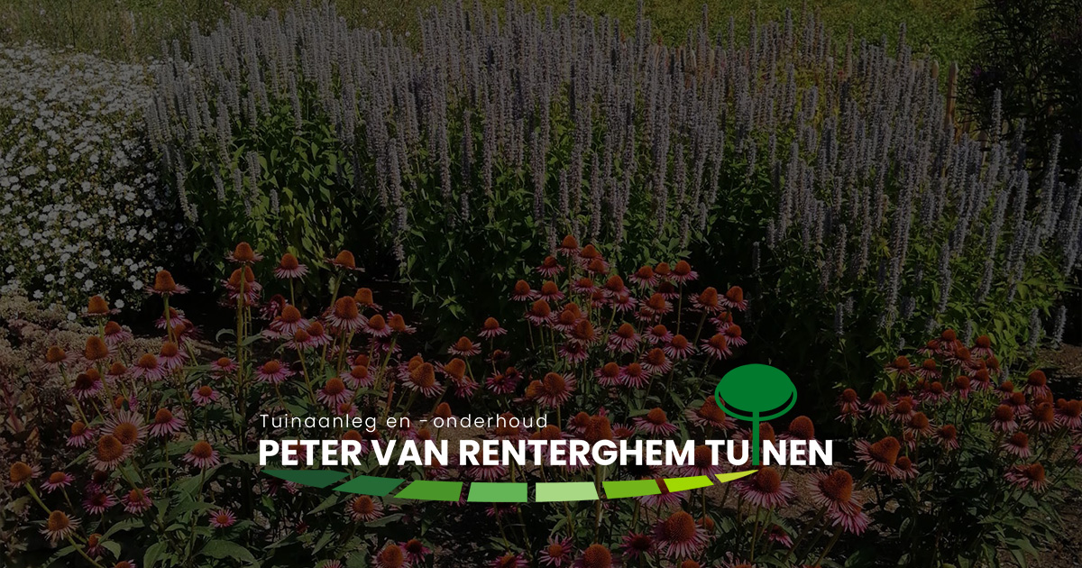 Uw ideale tuin komt tot stand | Peter Van Renterghem Tuinen